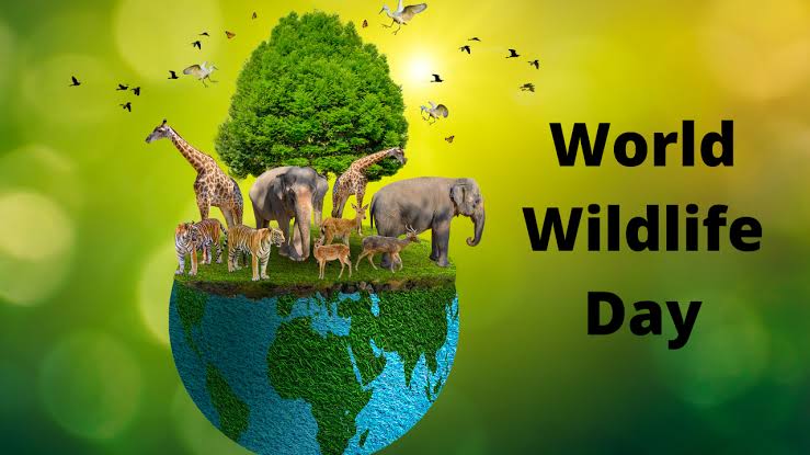 World Wildlife Day 2023: Celebrating Conservation Efforts And Touring ...
